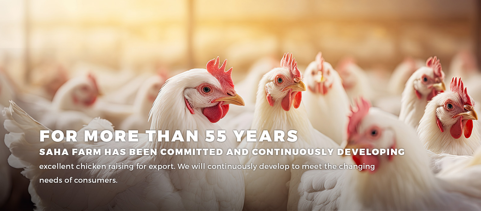 บริษัทสหฟาร์มจำกัด